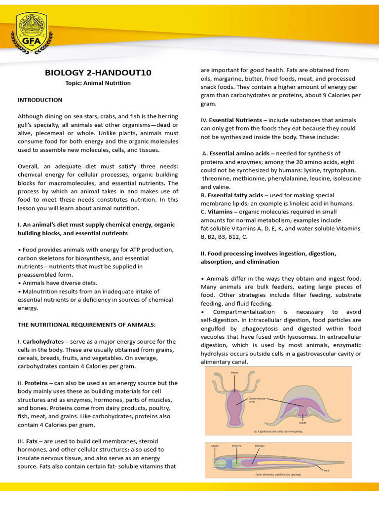 BIO2 Handout 10 | PDF