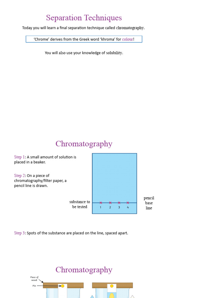 Chromatography Tutorial and Questions | PDF