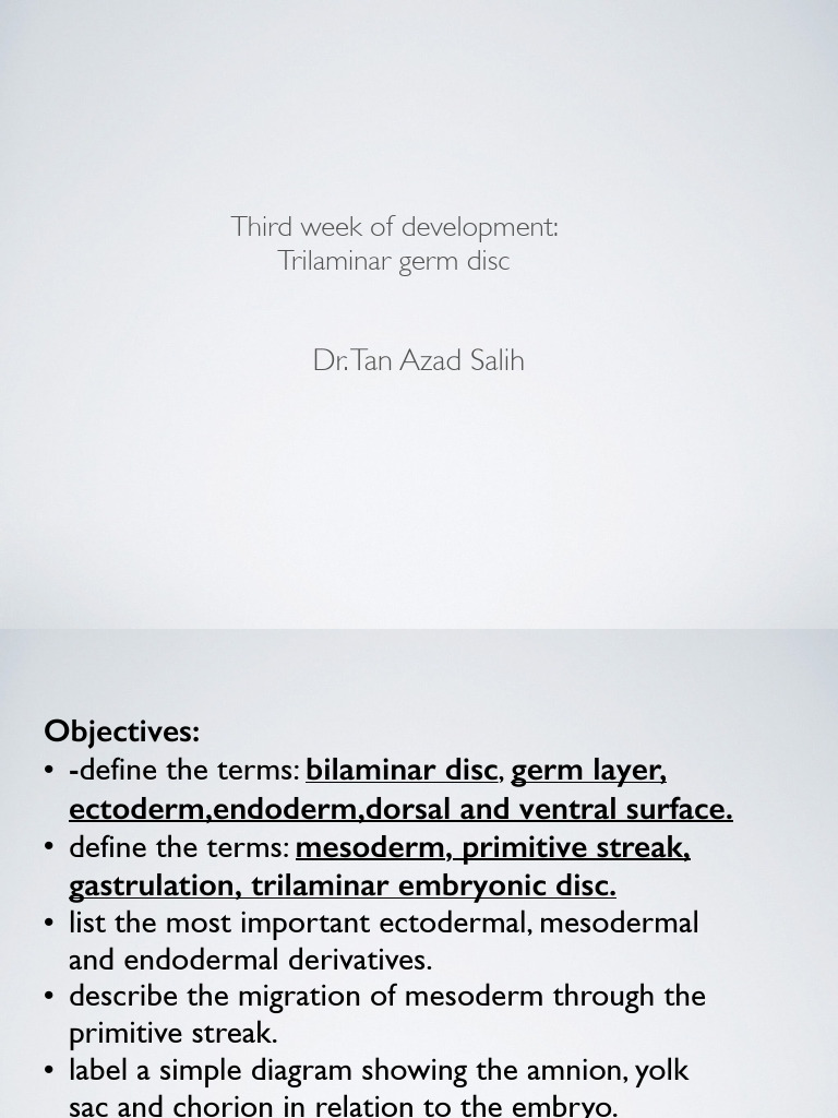 Third Week of Development: Trilaminar Germ Disc | PDF | Anatomy ...