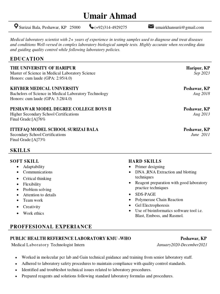 Umair Updated Resume 1 | PDF