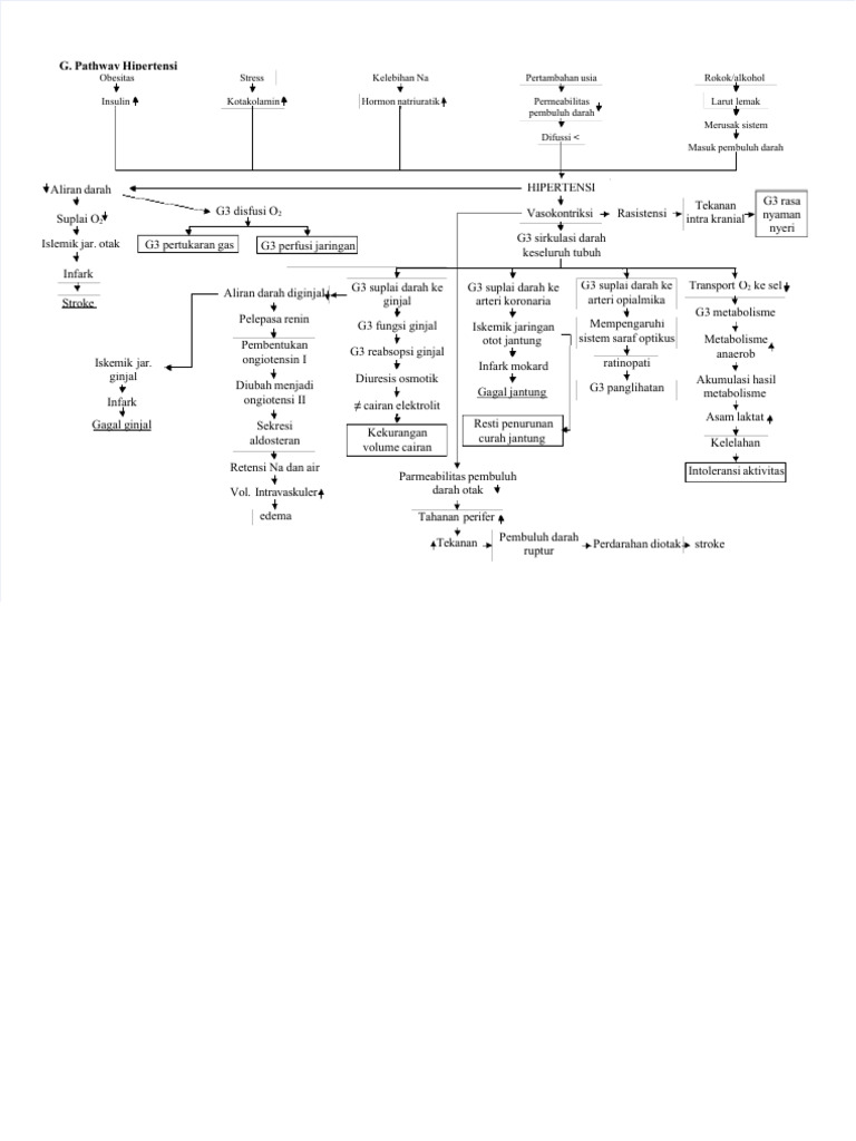 Dokumen - Tips Pathway Hipertensi 56d8e2d54654b | PDF