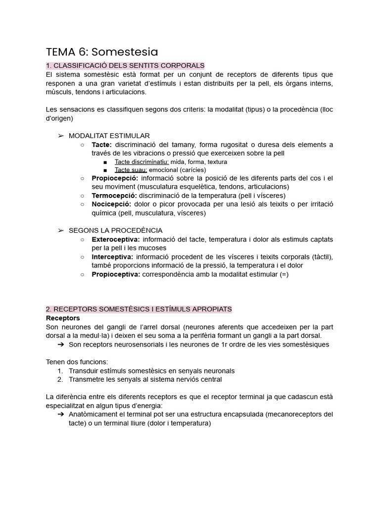 TEMA 6 - Somestesia | PDF