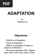 Aerial Adaptations in Plants and Animals | PDF | Habitat | Plants