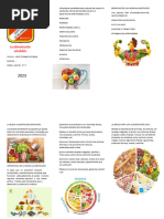 Triptico de La Alimentacion Saludable 5 | PDF | Alimentos | Dieta