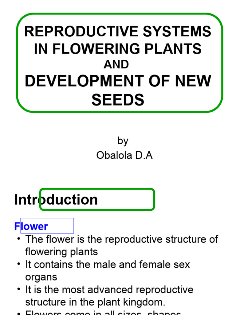 Reproductive Systems in Plants | PDF | Flowers | Petal