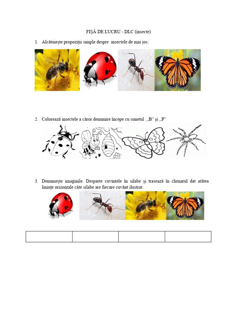 Fisa de Lucru DLC Insecte | PDF