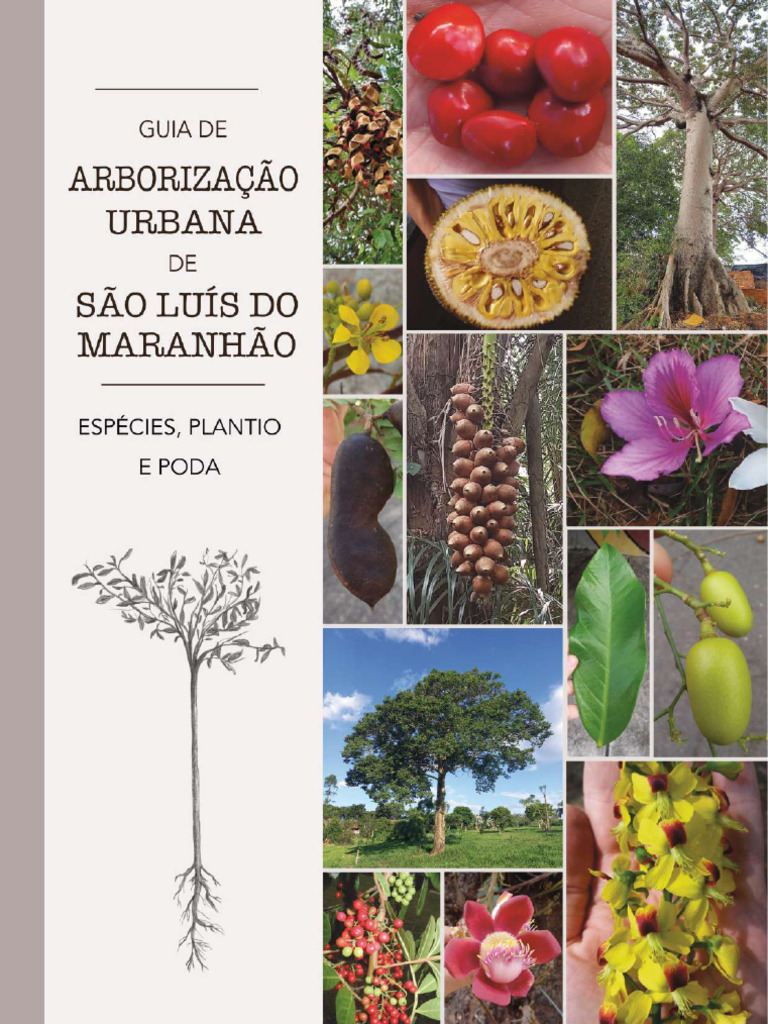 guia_arborizacao_urbana-sao-luis | PDF