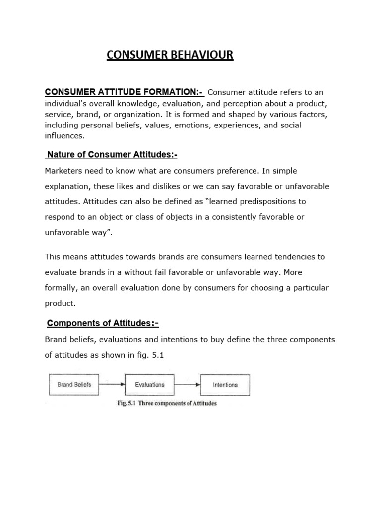 Understanding Consumer Attitude Formation | PDF | Attitude (Psychology ...
