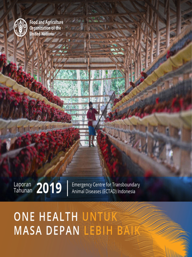 One Health | PDF
