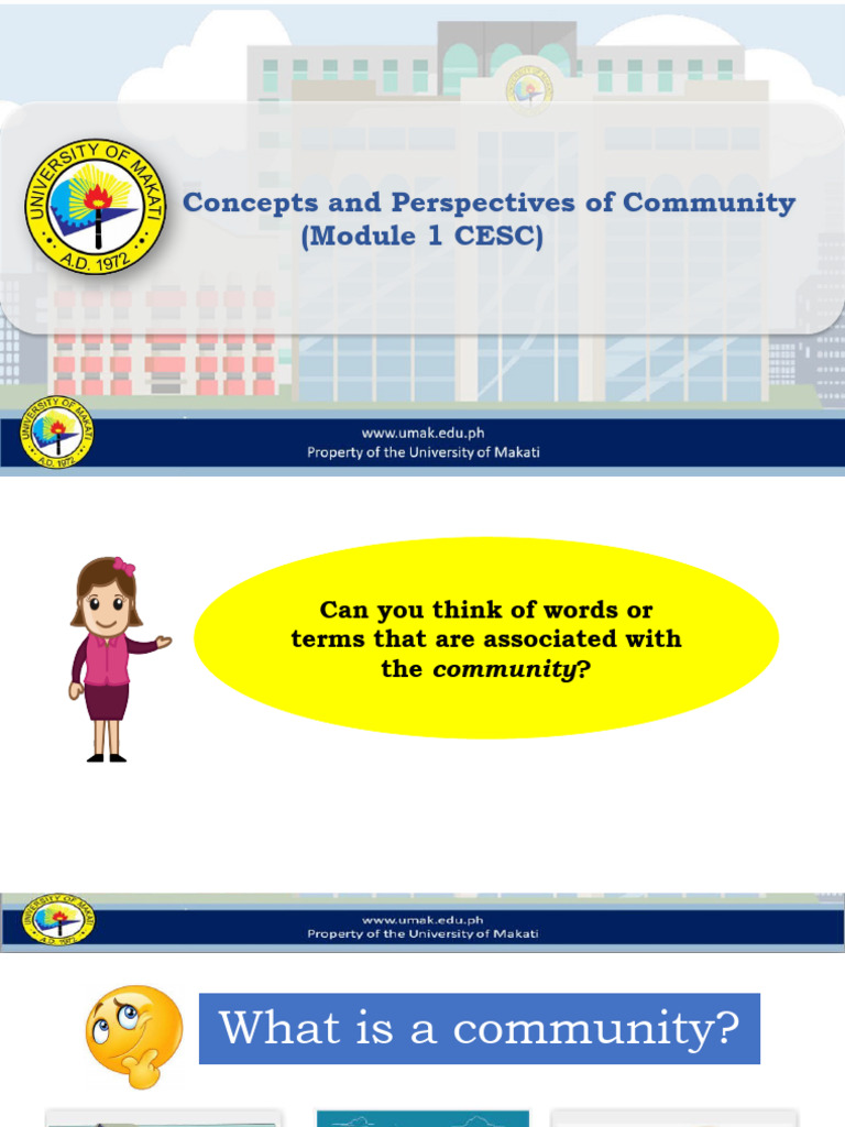 Community Concepts and Perspectives | PDF