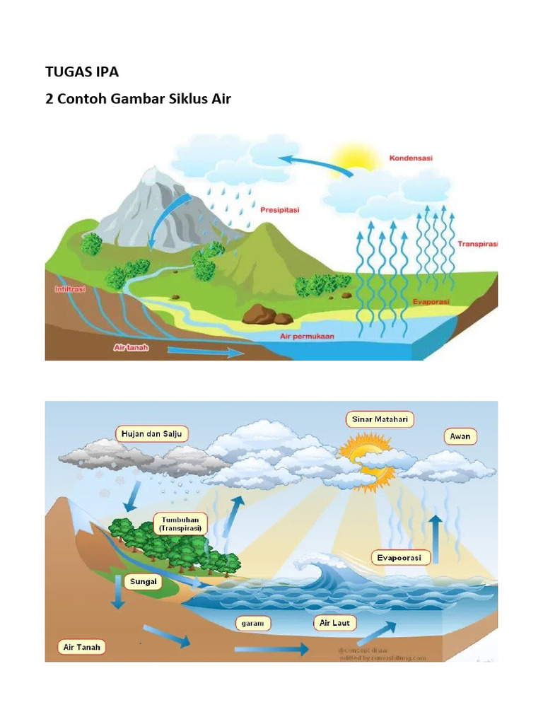 Tugas Ipa Contoh Gambar Siklus Air | PDF