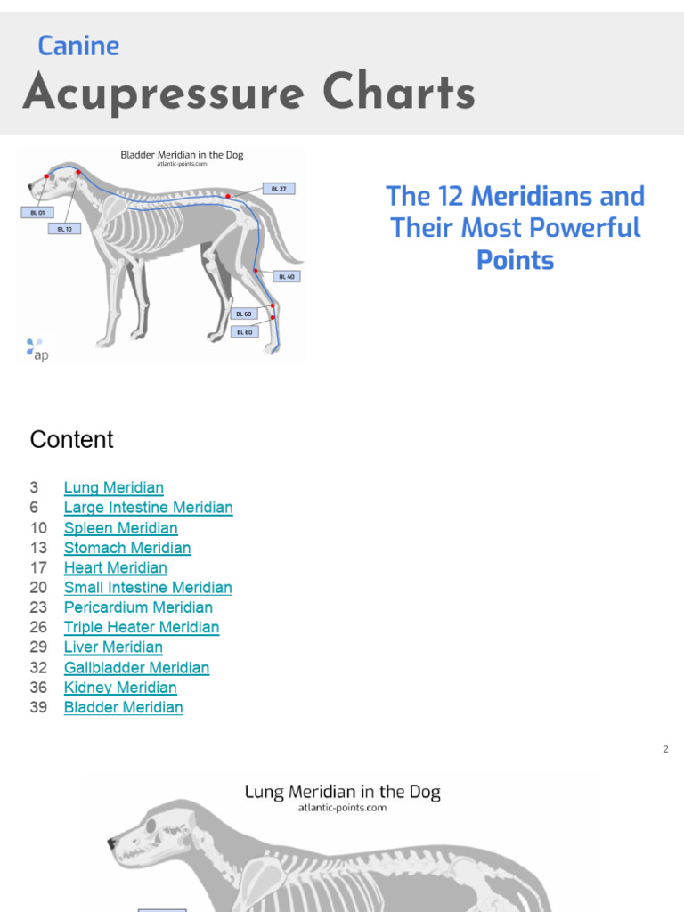 FREE Canine Acupressure Charts | PDF