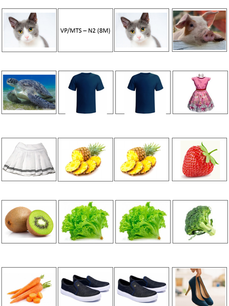 VPMTS N2 - 8M | PDF | Computers