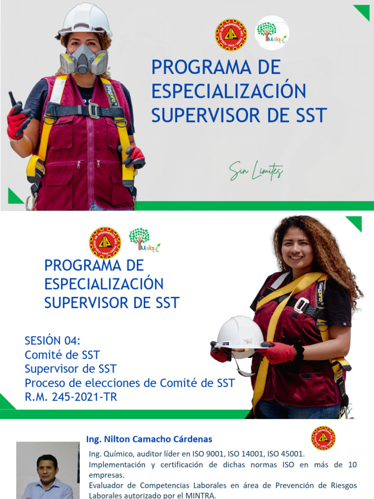 SESION 04 - Supervisor SST Mallqui | PDF