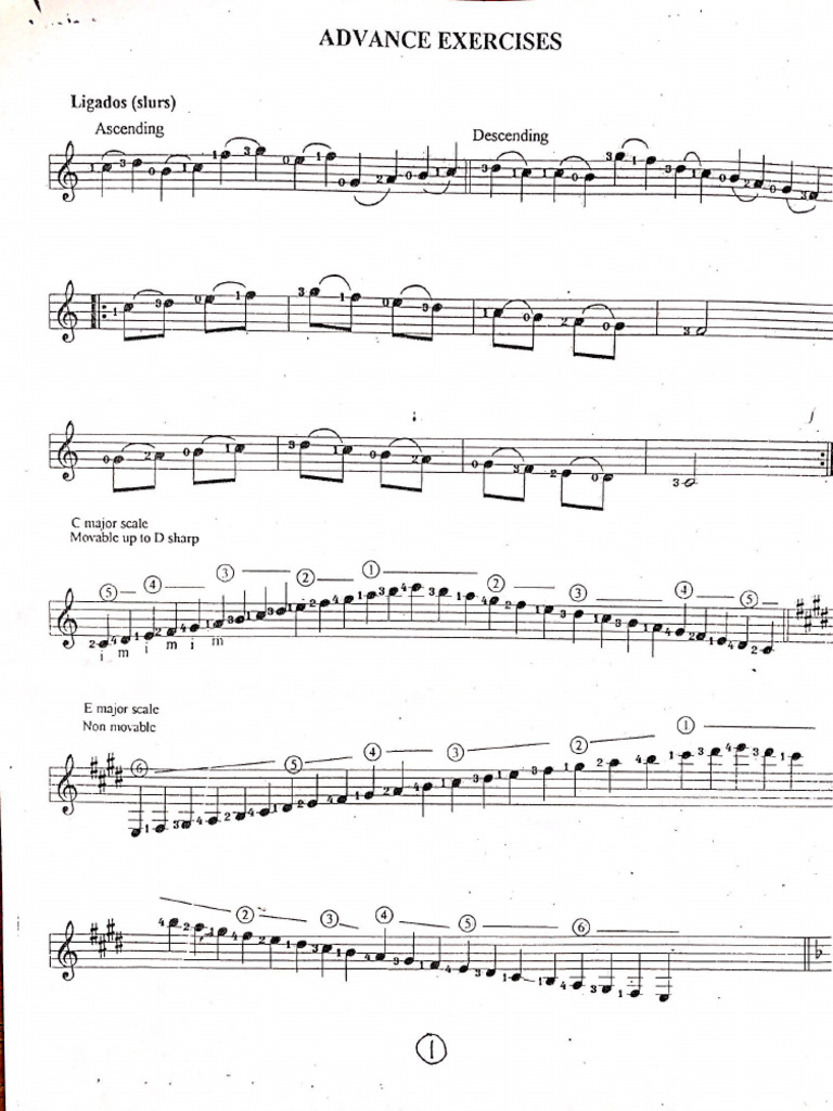 Advanced Exercises | PDF