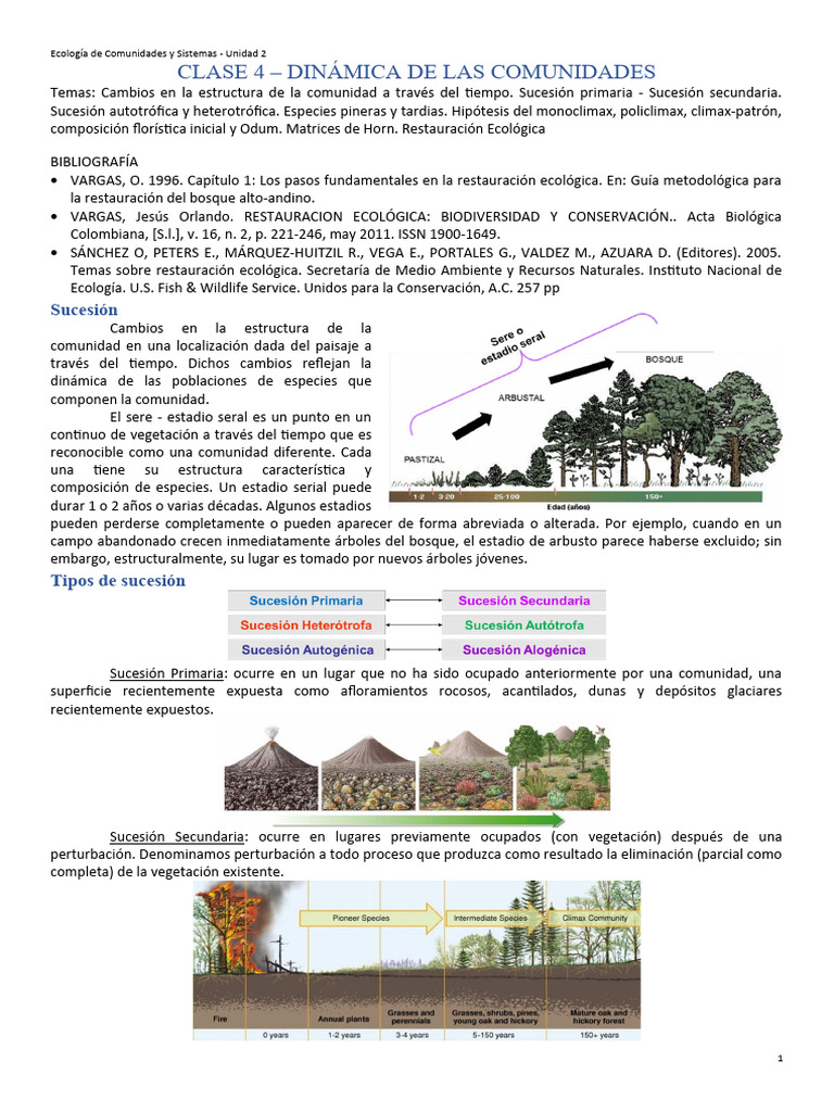 Resumen Unidad 2 | PDF