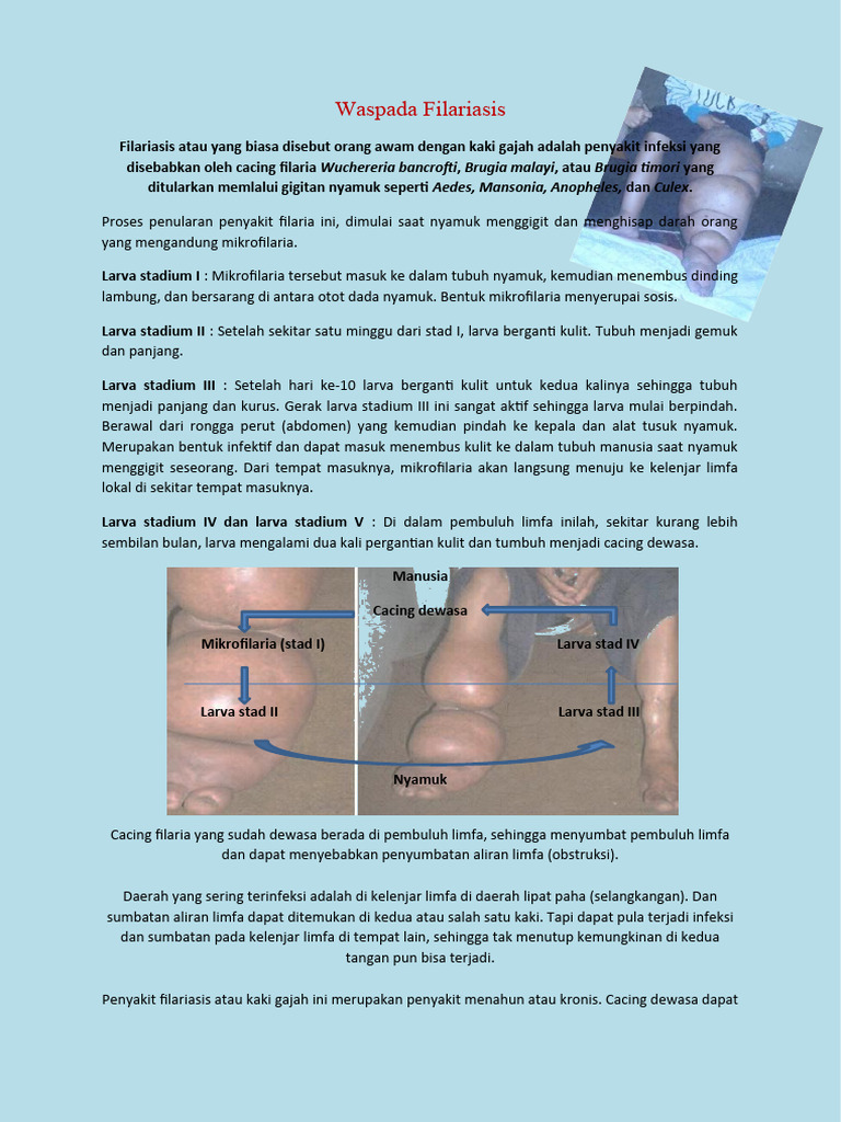 Waspada Filariasis | PDF