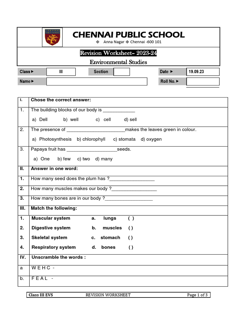 Chennai Public School: Revision Worksheet - 2023-24 | PDF