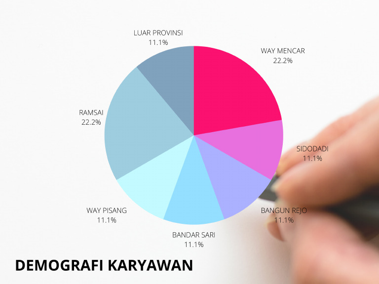 Demografi Karyawan | PDF
