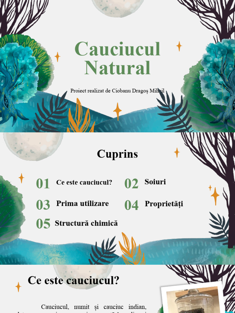 Cauciucul Natural | PDF