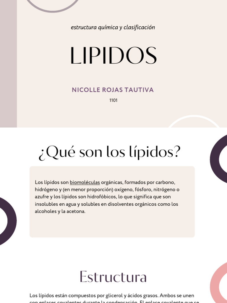 Lípidos: Estructura y Clasificación | PDF