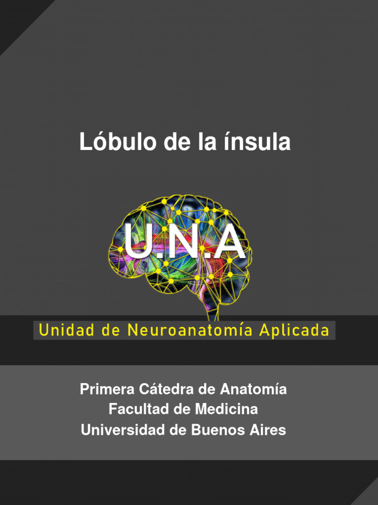 Insula | PDF