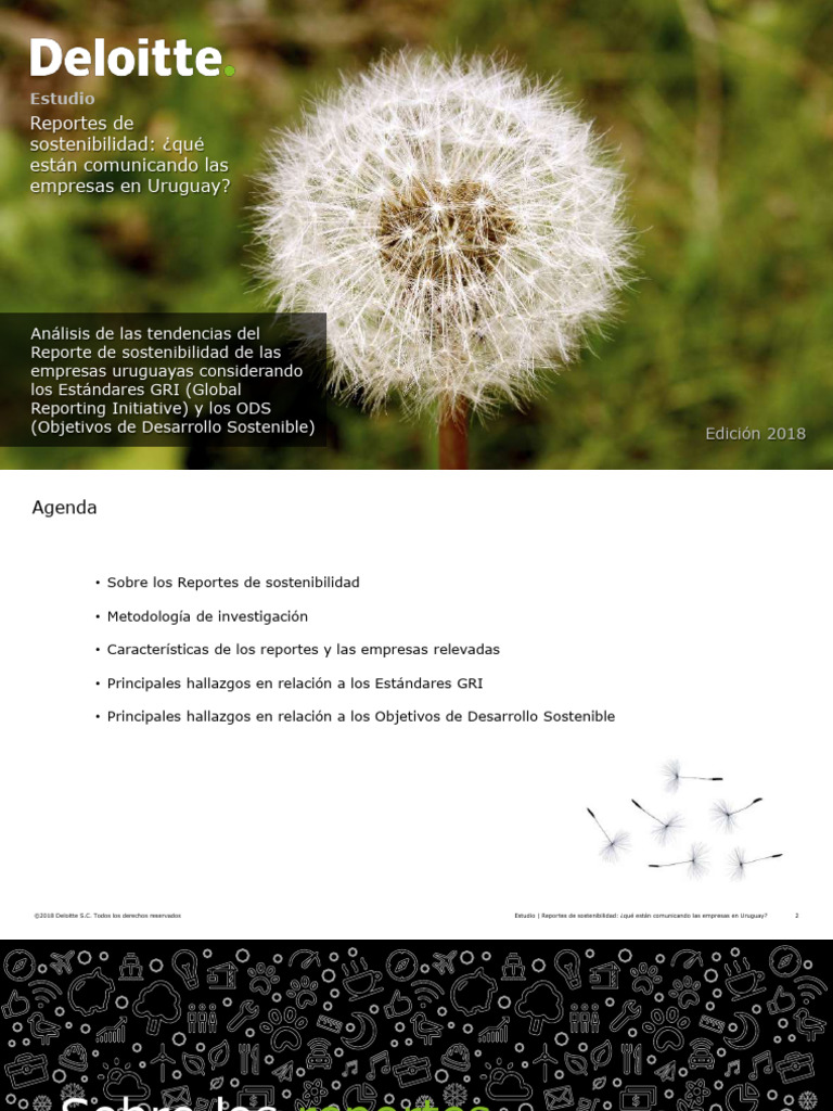 Presentación - Estudio Deloitte 2018 - Reportes de Sostenibilidad - GRI ...