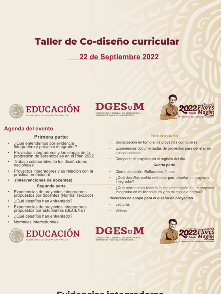 Presentación - Proyectos Integradores | PDF