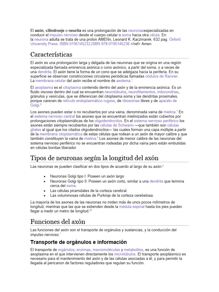 Axón Pdf Axon Anatomía