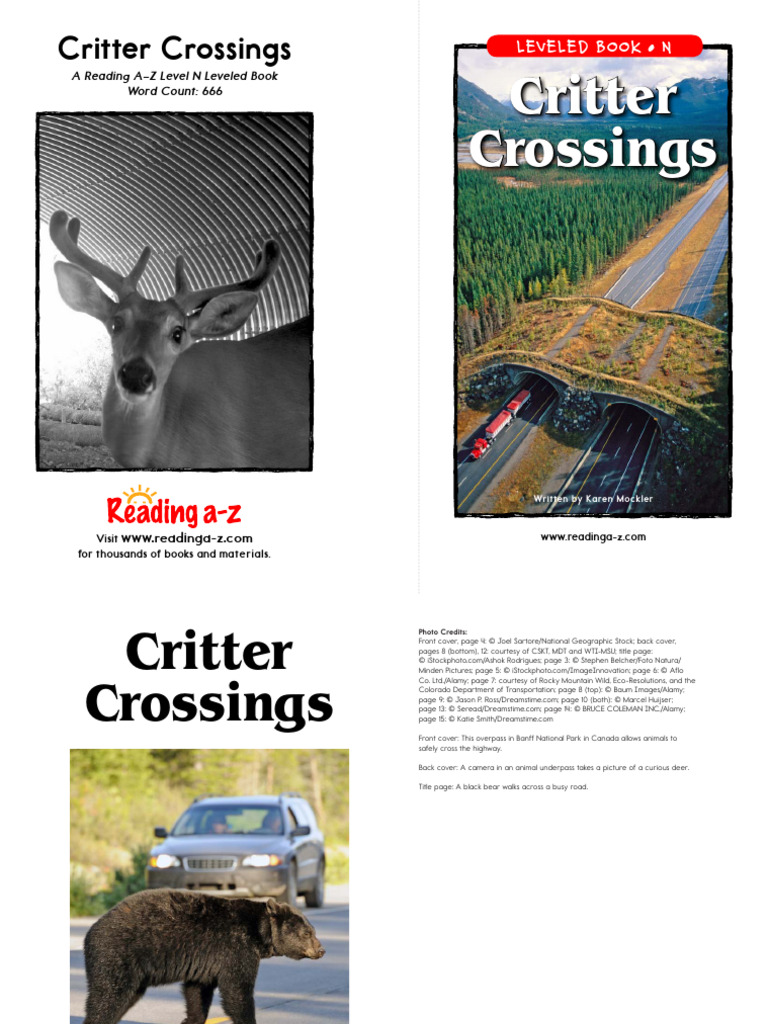 N Critter Crossings | PDF