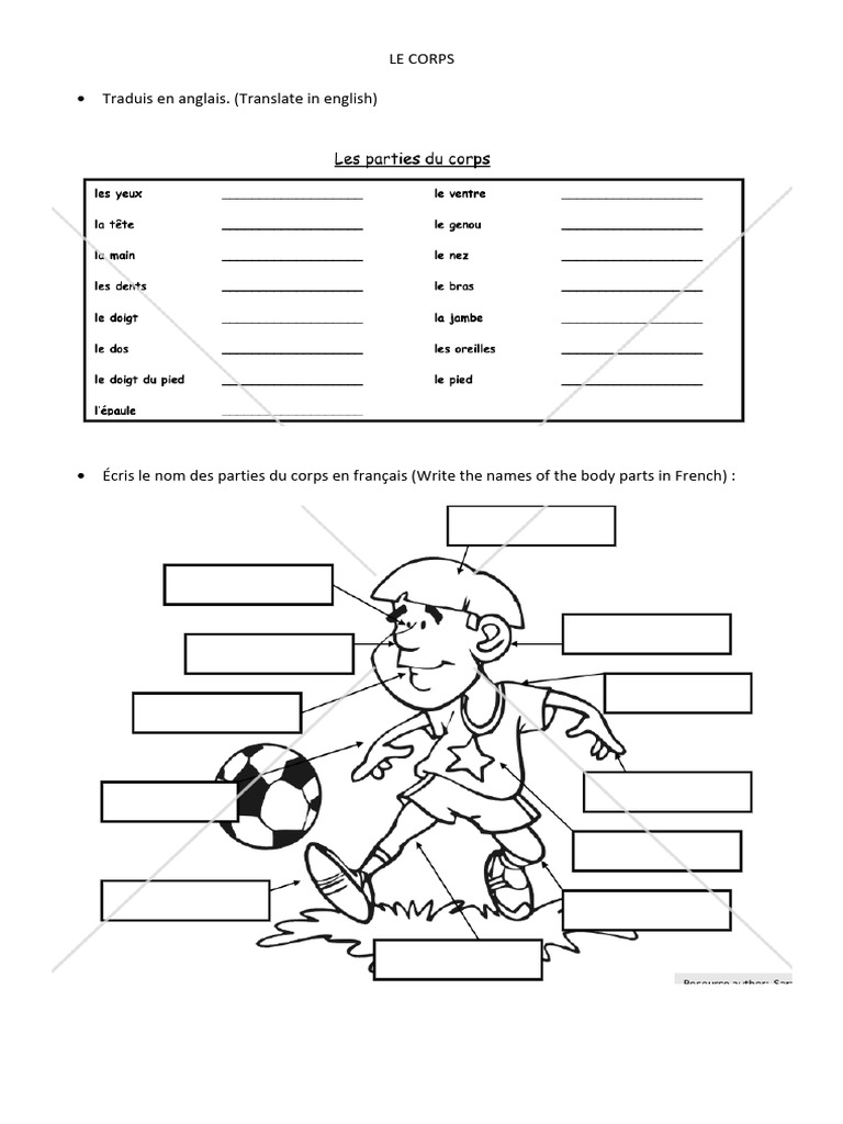 Corps humain : traduction et vocabulaire | PDF