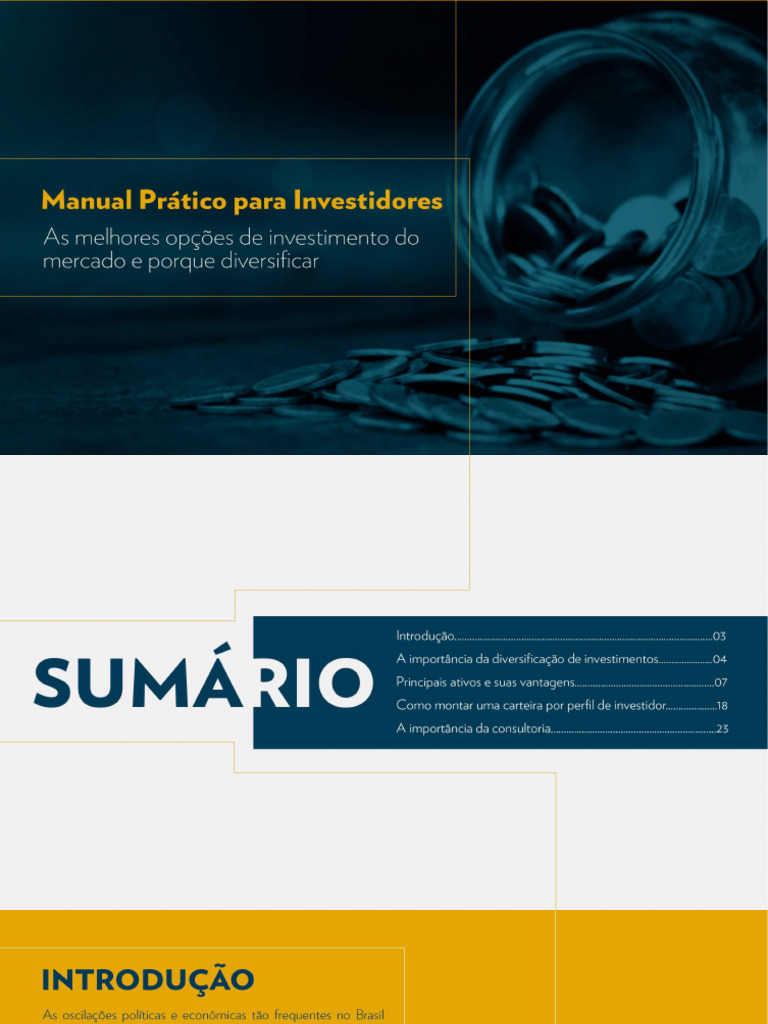Manual - EQI - Manual Pratico para Investidores | PDF