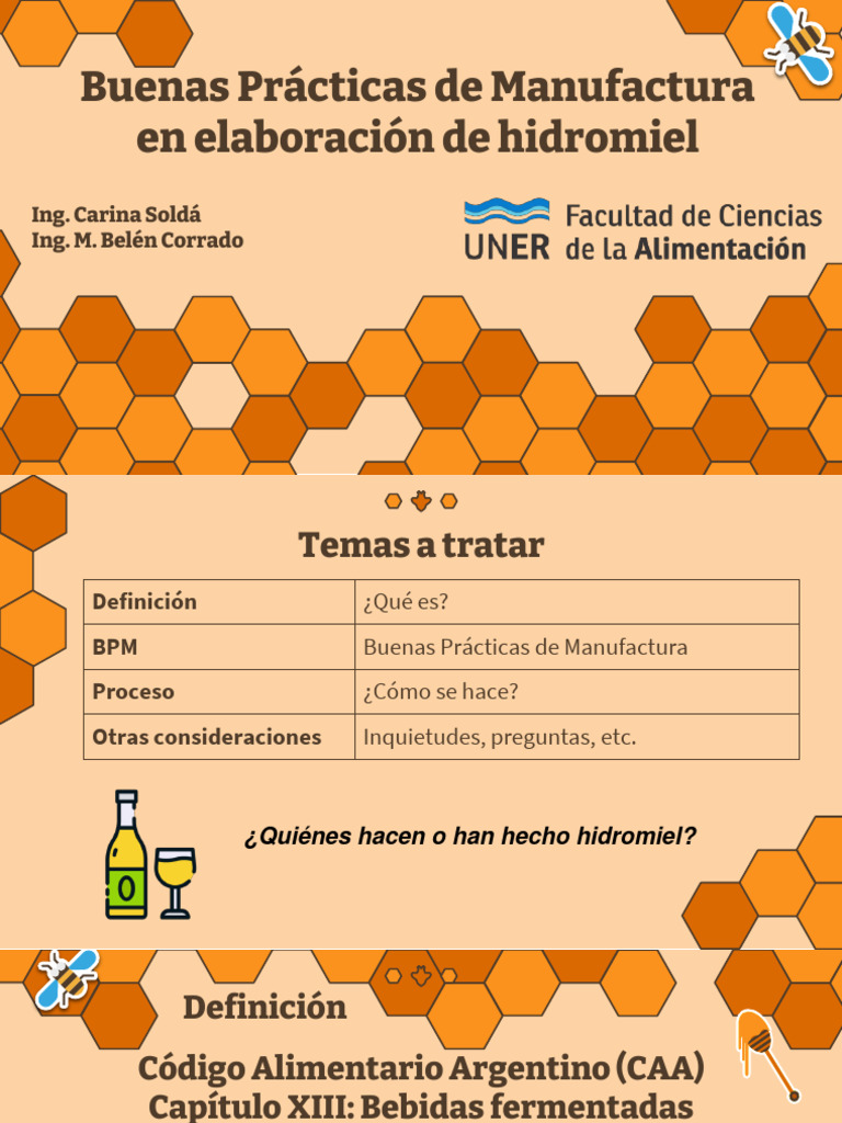 BPM Hidromiel 1 | PDF | Fermentación | Agua