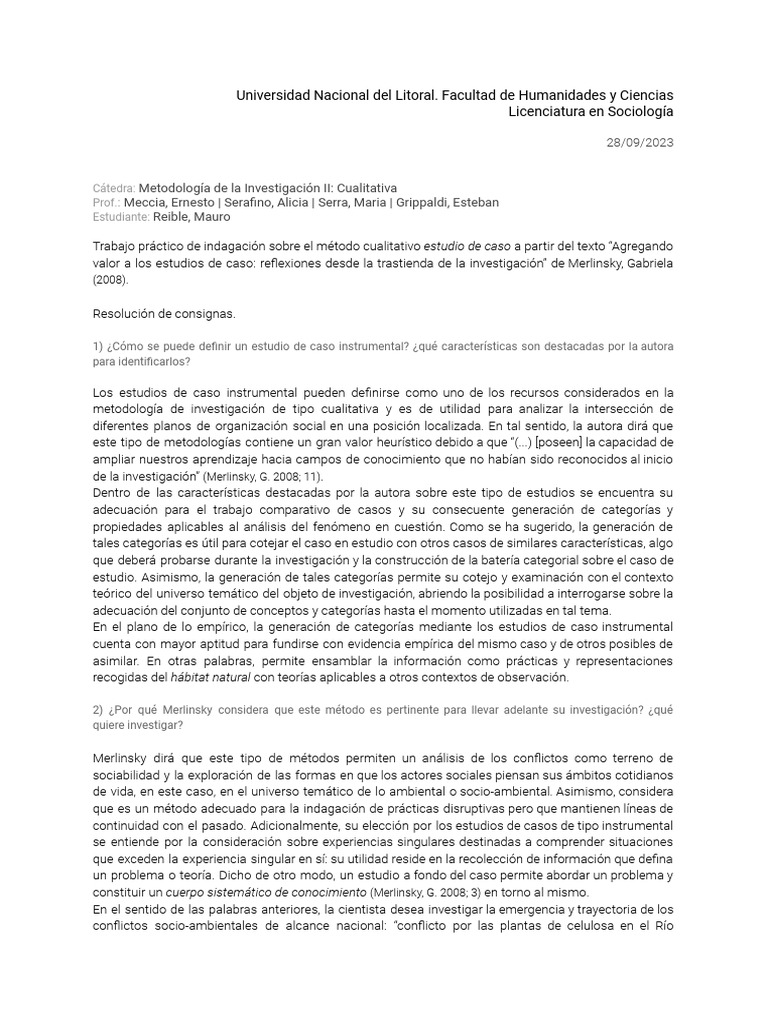 REIBLE, Mauro - Trabajo Práctico, Estudios de Caso | PDF