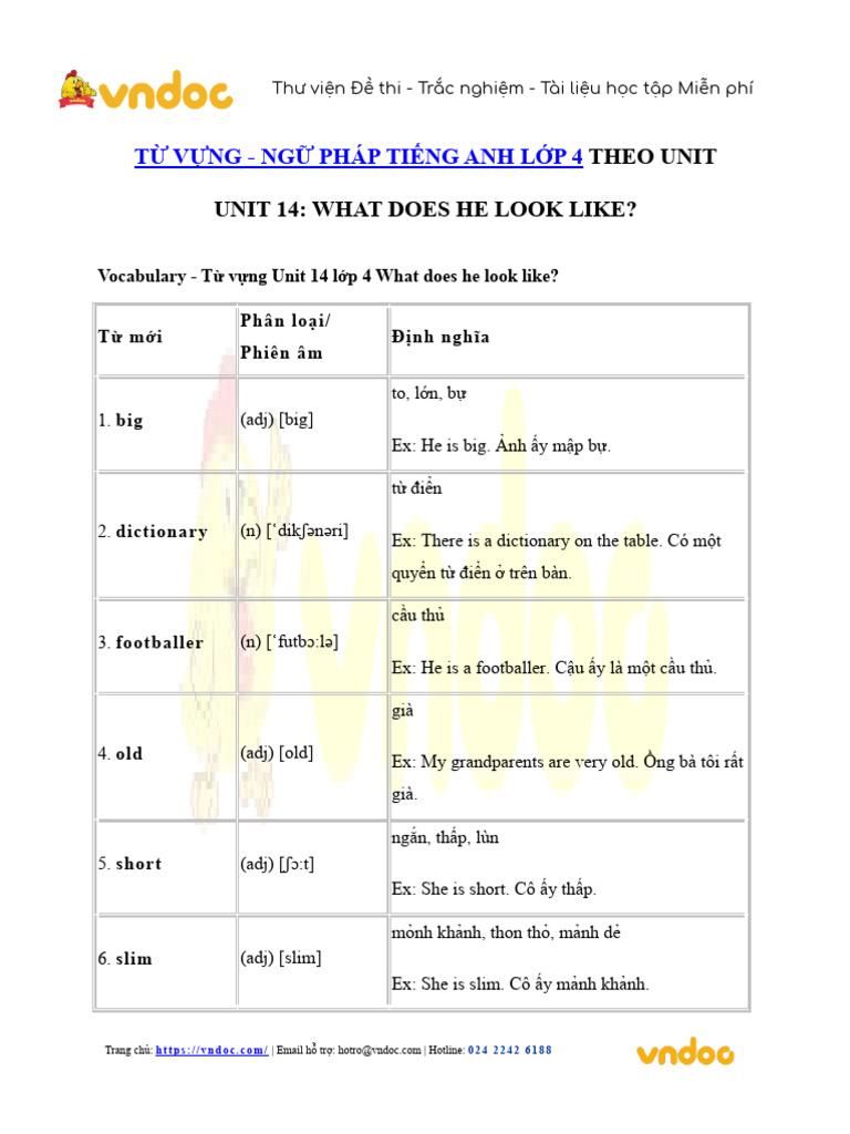 Tu Vung Ngu Phap Tieng Anh Lop 4 Unit 14 Chuong Trinh Moi What Does He Look Like | PDF