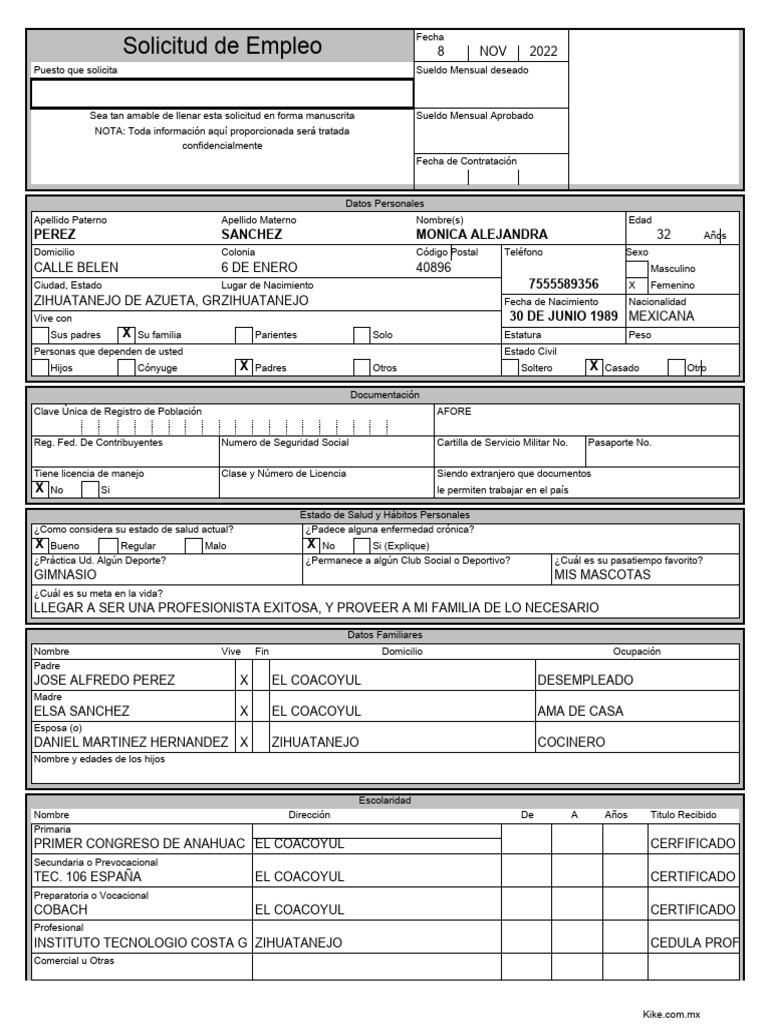 FORMATO Solicitud de Empleo | PDF
