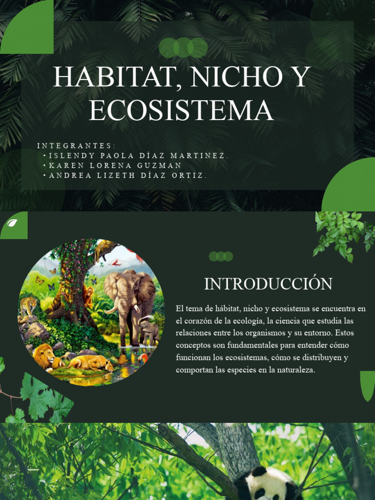 Los Ecosistemas | PDF