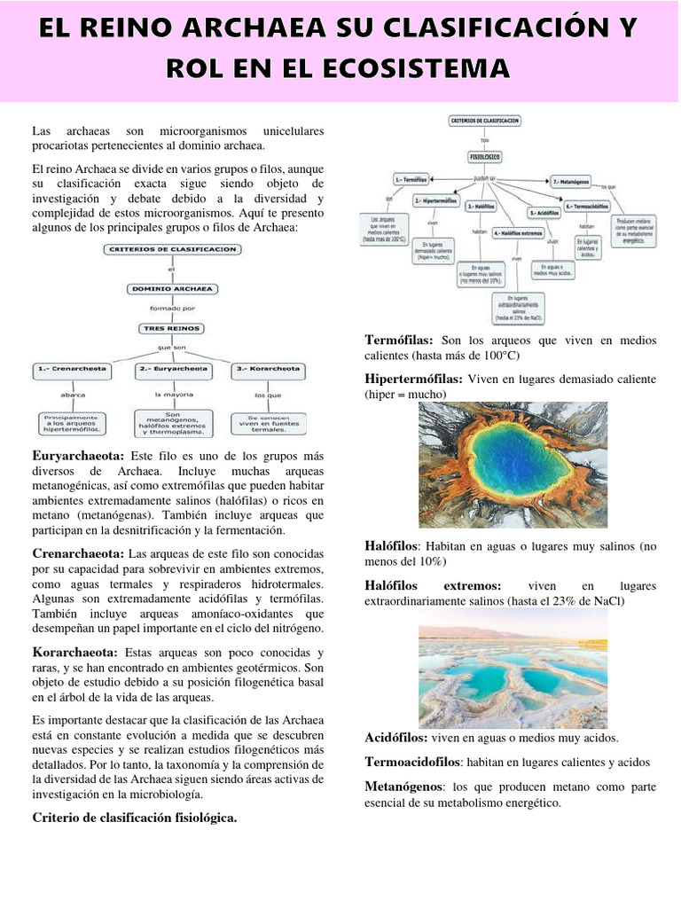 Reino archaeas | PDF | Archaea | Biogás