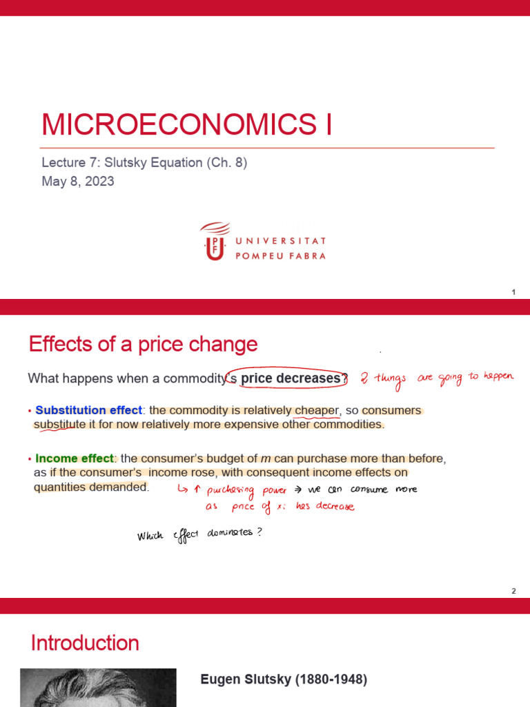 2023 - Lecture 7 - Slutsky Equation (Ch. 8) - FG | PDF