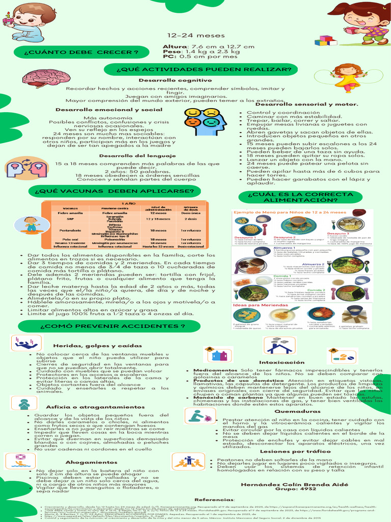 Infografia Lactante Mayor | PDF