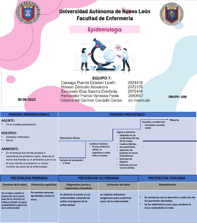 Prevención y Características del Virus Motaba | PDF