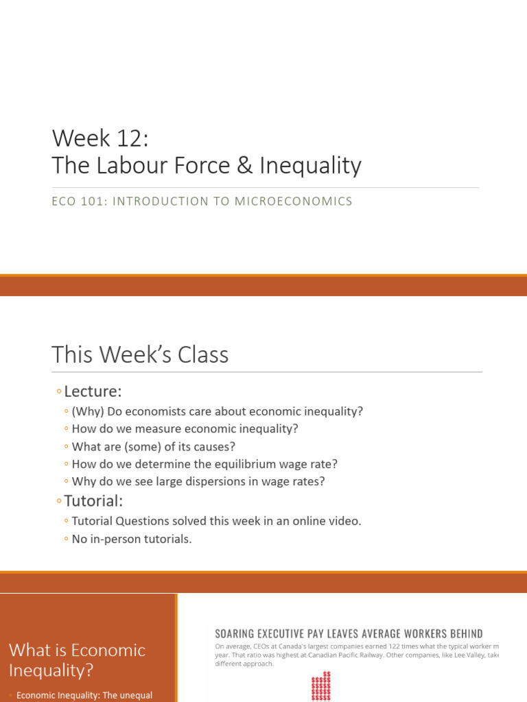 ECO101 Week12 TheLabourForce&Inequality | PDF