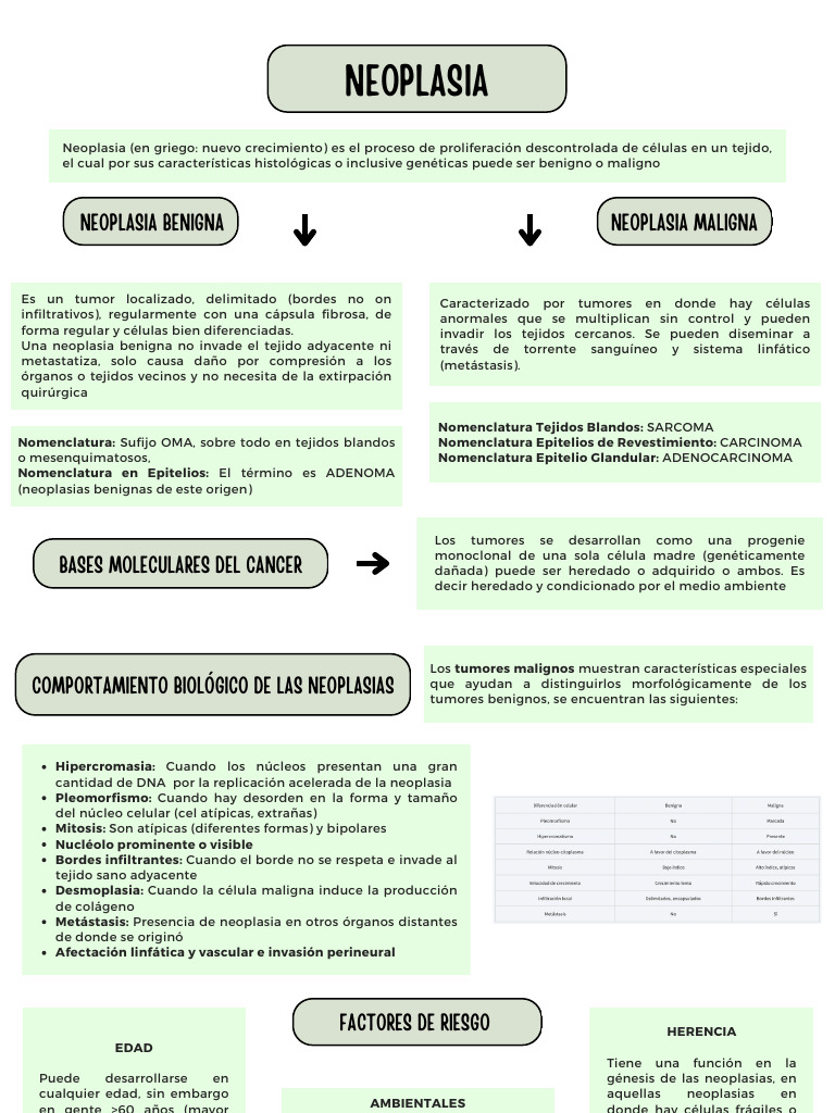 Neoplasias Cuadro | PDF | Metástasis | Cáncer