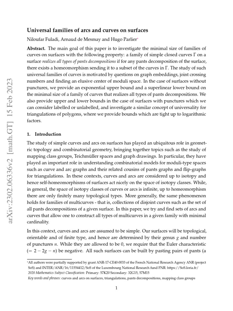 Universal families of arcs and curves on surfaces | PDF