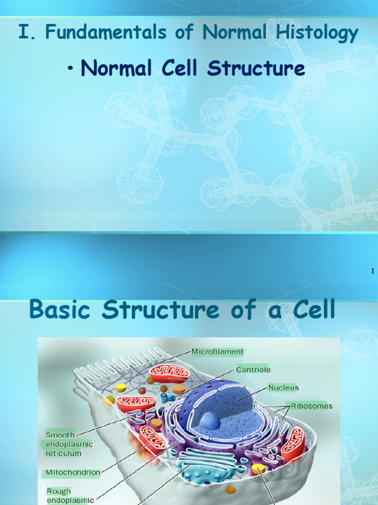 HISTOLOGY Normal Cell Structure | PDF | Mitosis | Endoplasmic Reticulum