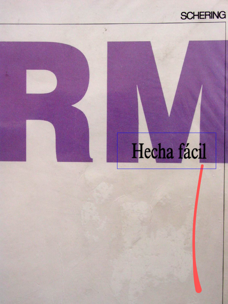 Schild, Hans - RMI Hecha Fácil | PDF