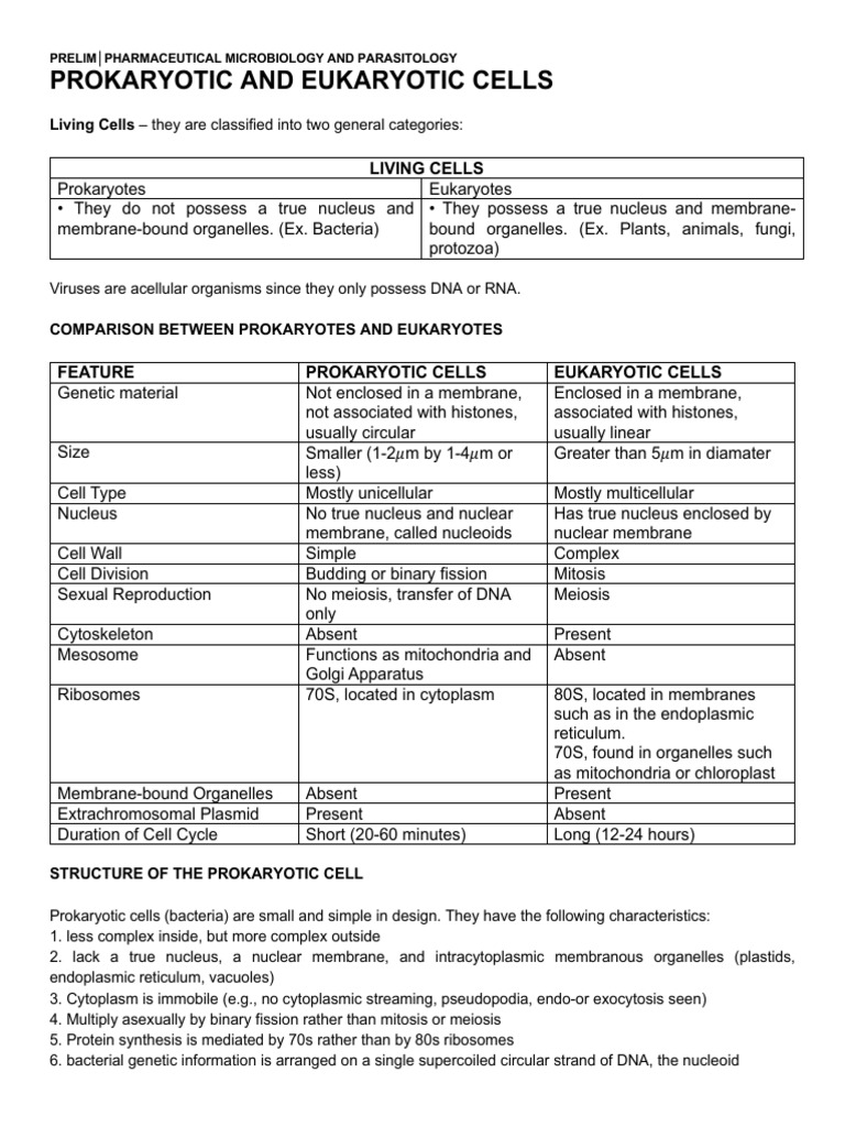 1 2 Prokaryotes And Eukaryotes Pdf Cell Biology Bacteria