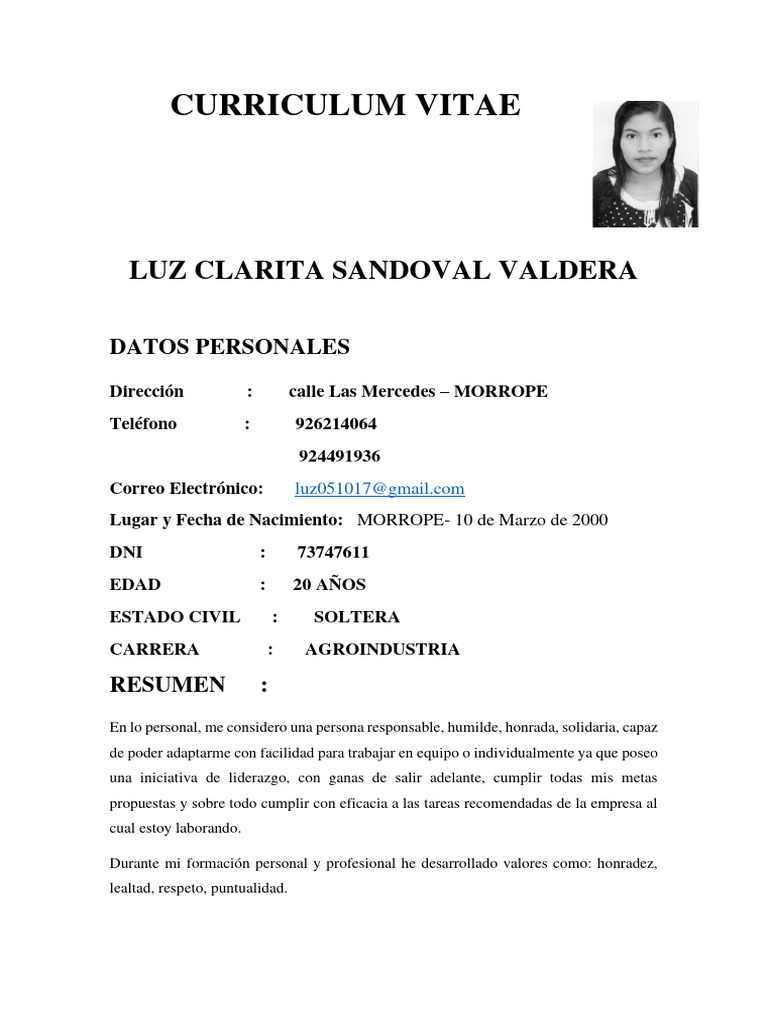 CV Luz Sandoval | PDF