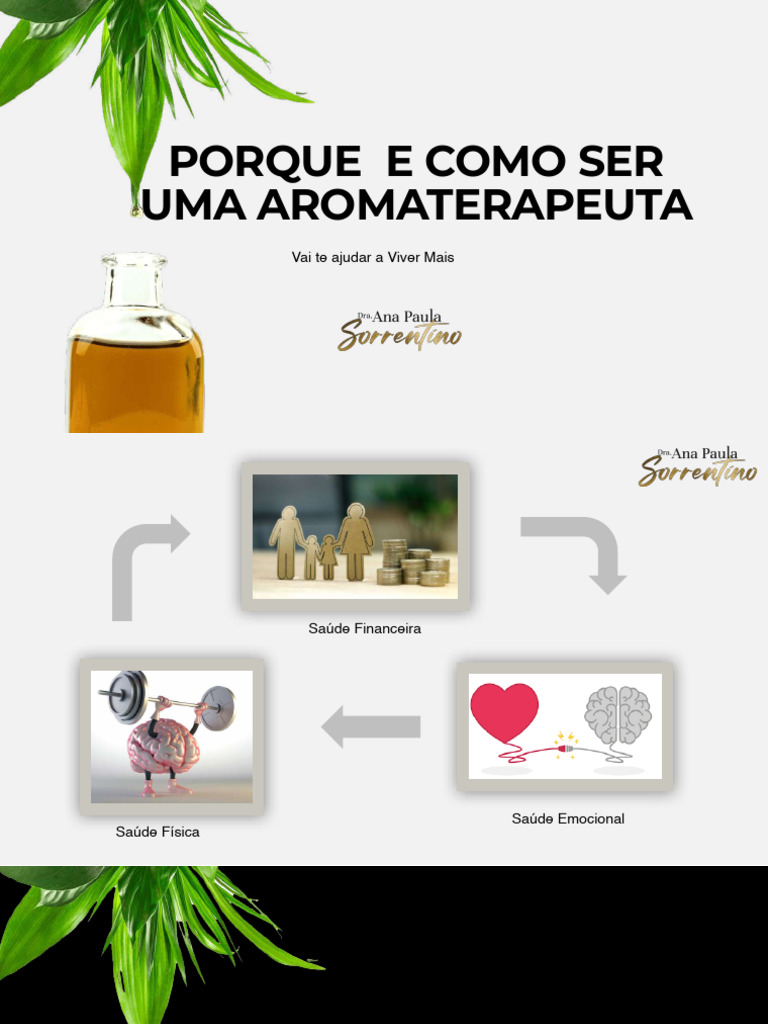 AULA 4 Compressed | PDF