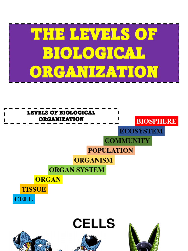 Levels of Biological Organization Science 9 Lecture | PDF | Science ...